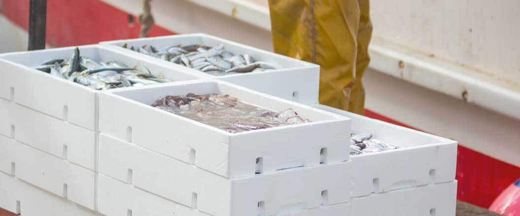 What is Cold Chain Distribution: Discover the Process