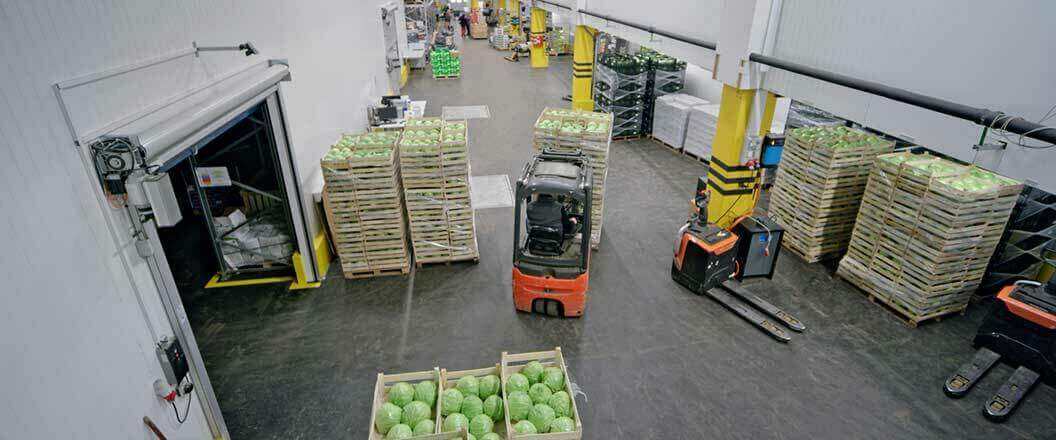 Cold Chain Logistics Solutions: A Cool Path To Success | USA ...